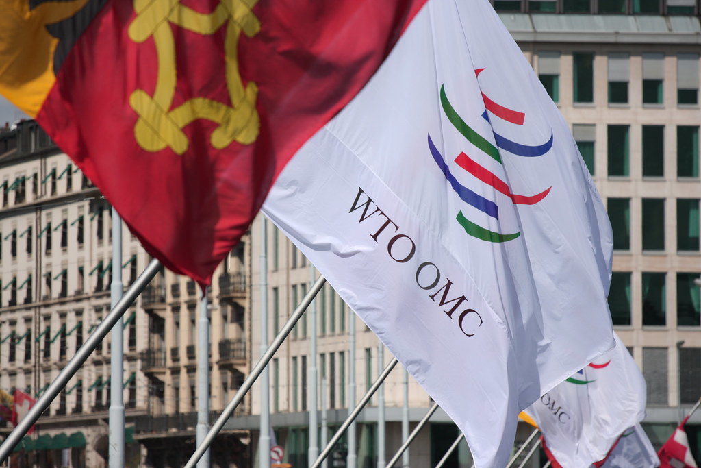WTO eCommerce negotiations: a unique opportunity for digital trade ...